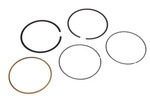 Shop GM Pistons & Piston Rings Online | GMPartsDirect.com
